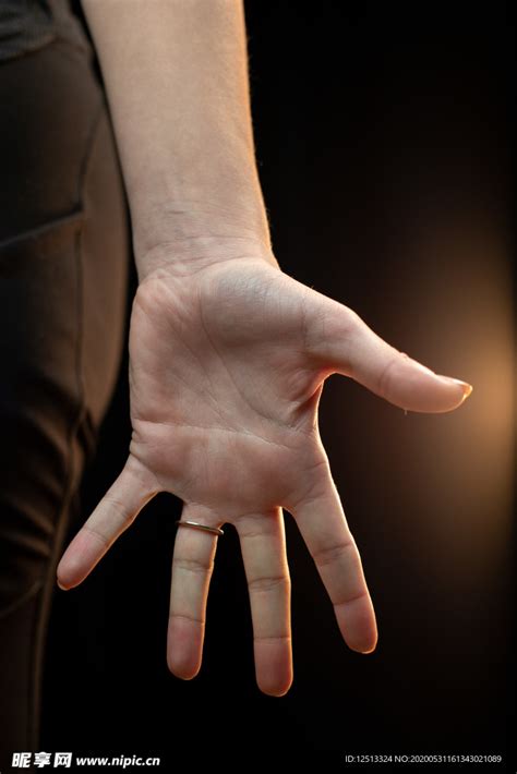 手摄影图图片素材其他摄影图库昵图网
