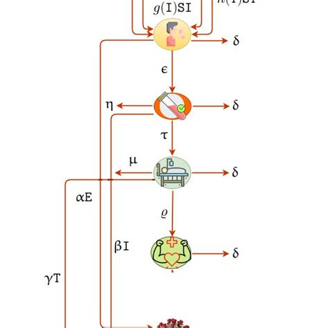 Schematic Representation Of The Mathematical Model C 19 Download Scientific Diagram