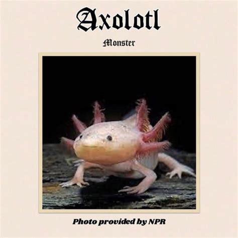 Monster Axolotl — Cute And Slightly Deadly Familiar Rdnd