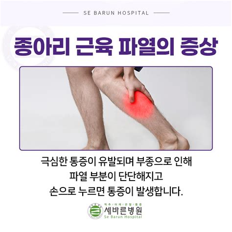 종아리 근육파열 근육통 차이점 네이버 블로그