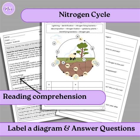 Editable Nitrogen Cycle Worksheet Missty By Missty Science Class
