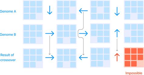 Sliding Puzzle Game Genetic Algorithm Solver By Mohamed Elamine Jan 2024 Medium