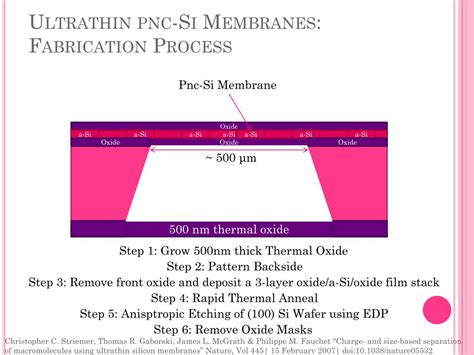Ppt Separation Of Macromolecules Using Ultrathin Silicon Membranes Powerpoint Presentation