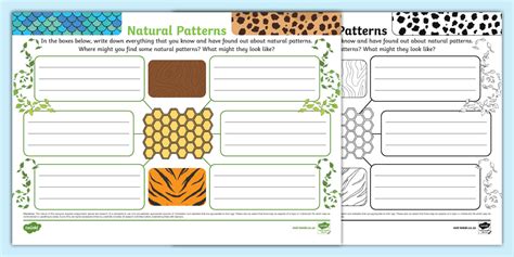 Natural Patterns Mind Map Teacher Made Twinkl