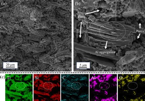 Microstructures Of The Hp Sample A Low Magnification Sem Image And Download Scientific