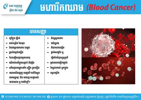 👉មហារីកឈាម៖ ជំងឺមហារីកឈាមសំដៅ លើ ប្រភេទ មហារីក ដែលប៉ះ ពាល់ ដល់ ការ ផលិត គ្រាប់ឈាម និង មុខ