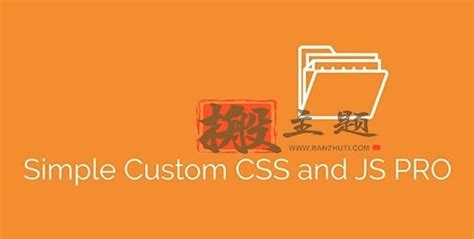 Simple Custom Css And Js Pro 440中文版简单自定义css和js设计wordpress插件 搬主题