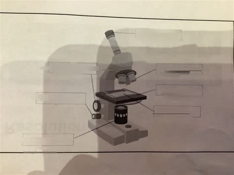 Microscopes Diagram Quizlet