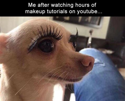 Afternoon Funny Picture Dump 34 Pics