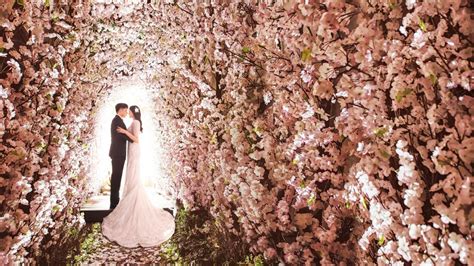 결혼식 식중영상 Youtube