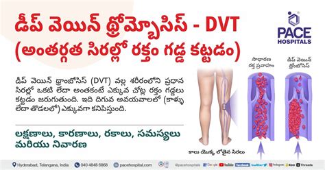 Fatty Liver Symptoms Grade Causes Complications Prevention