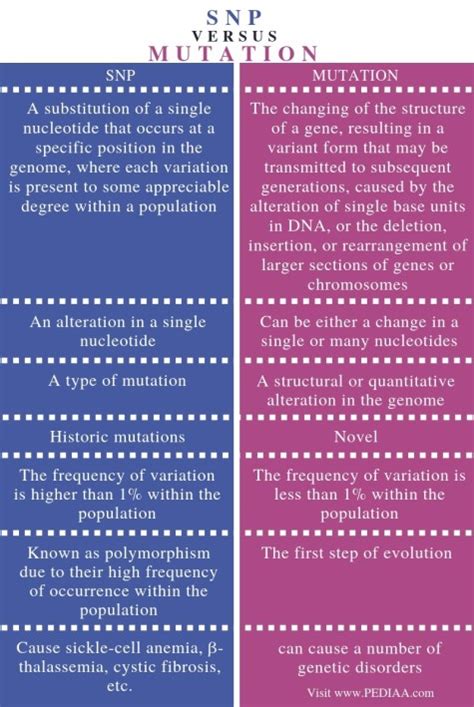What Is The Difference Between Snp And Mutation Pediaa Com