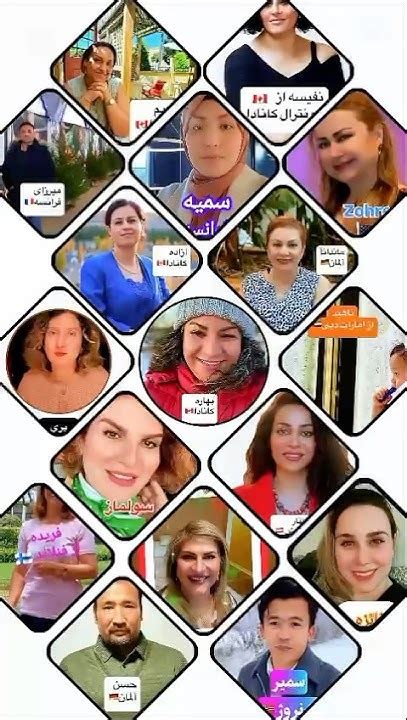 همکاران من از جاهای مختلف دنیا با سن و بک گراند تحصیلی متفاوت در این