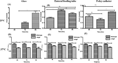 curli gene expression at various surfaces panel a c shows gene