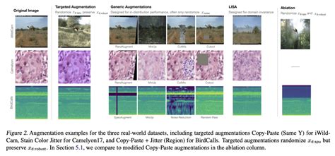 斯坦福大学 通过针对性增强实现域外鲁棒性 智源社区