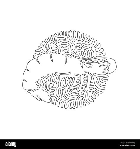 Continuous Curve One Line Drawing Of Adorable Shrimp Abstract Art