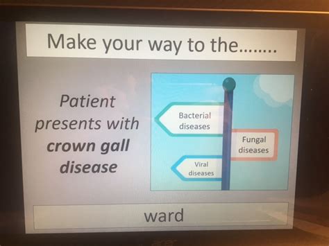 Ocr Gateway Gcse Biology A Paper 2 Revision Topics B4 B6 Teaching Resources