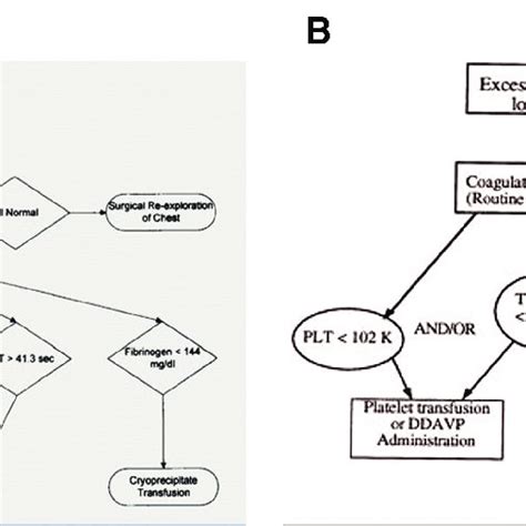 A Algorithm For Intraoperative Microvascular Bleeding B