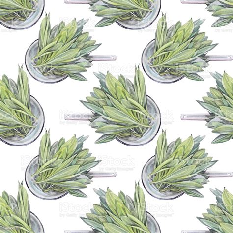 흰색 배경에 소쿠리에 샐러드를위한 원활한 패턴 수채화 야생 마늘 건강을 위해 손으로 그린 그린 매운 비타민 식품 부엌 요리 책을위한 식물 램슨 카페 카드 벽지 아트 건강한