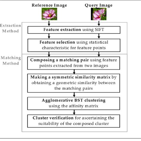 flowchart of the proposed algorithm download scientific diagram