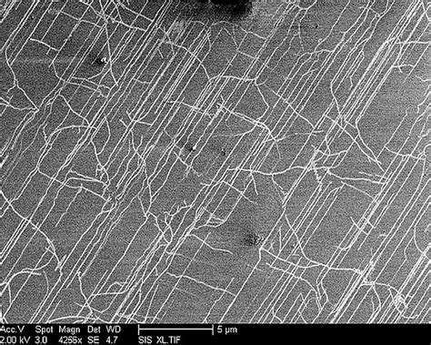 Carbon Nanotubes Enable Highly Energy Efficient Computing Live Science