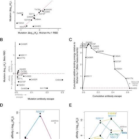 Fig S1 Deep Mutational Scanning Experimental Details A Download Scientific Diagram