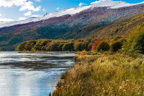 Premium Photo Tierra Del Fuego National Park Patagonia Argentina