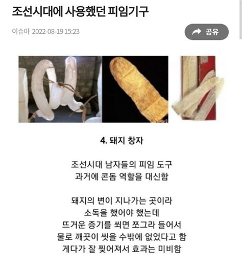 조선시대 피임도구  Mlbpark