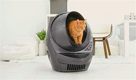 Litter Robot 3 Vs Litter Robot 4 Comparison Chart