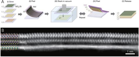 A Schematic Illustration Of Synthesis Of 2d 2d Heterostructured Download Scientific Diagram