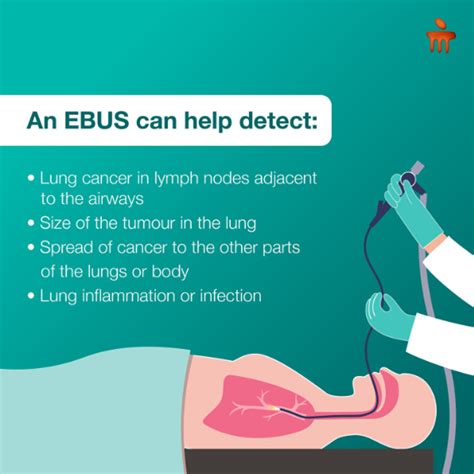 Out The Door In 2024 Ebus Friday