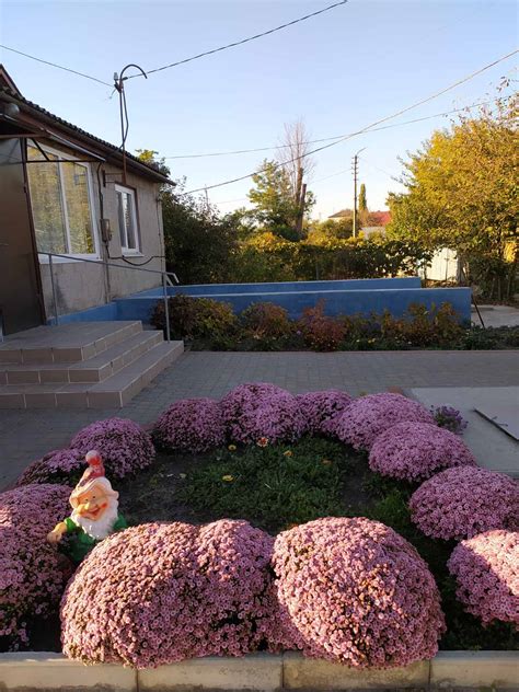 Центр надання соціальних послуг та соціальної інтеграції