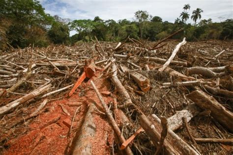 Companies Investing In Climate Risk Mitigation Will Reap Rewards Analyst Bnamericas