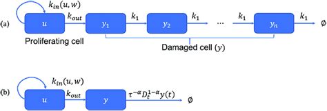 Schematic Diagram Of Tcms Modeled By Distributions A Erlang Tcm