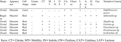 Cultural And Biochemical Characterization Of Bacterial Isolates Download Scientific Diagram