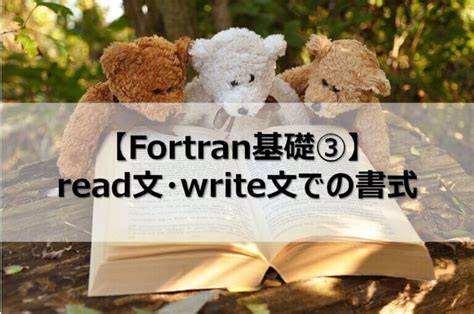 Fortran基礎③read文write文での書式 Honey Bears Note
