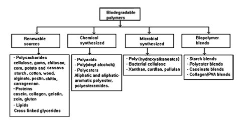 Clasification Of Biodegradable Polymers And Their Nomenclature Kestur Download Scientific