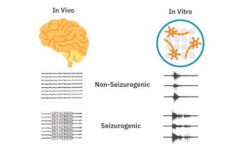 Epilepsy Axion Biosystems