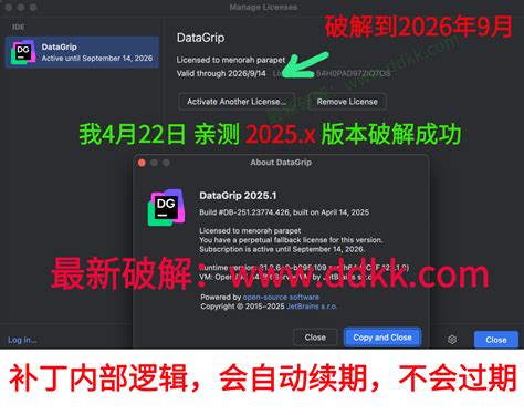 Datagrip 20251 破解教程，datagrip，激活码，注册码 弟弟快看教程