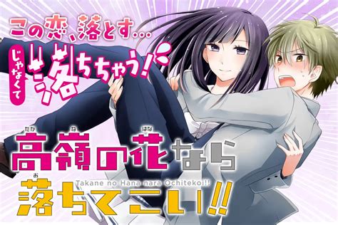 高嶺の花なら落ちてこい （夏目あやの）を無料で読むならマンガup！ Square Enix