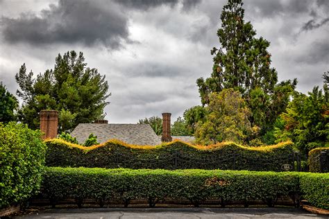 Trees And The Homes They Shade On Behance Trees And The Homes They Shade On Behance