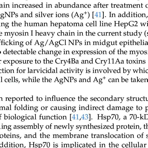 Identification Of Differentially Regulated Proteins Between Control Download Scientific Diagram