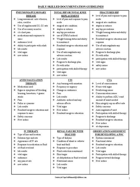 Daily Skilled Documentation Guideline Palliative Care Caregiver
