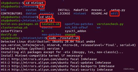 Ubuntu 中搭建SDN环境超详细 sdn环境搭建 CSDN博客