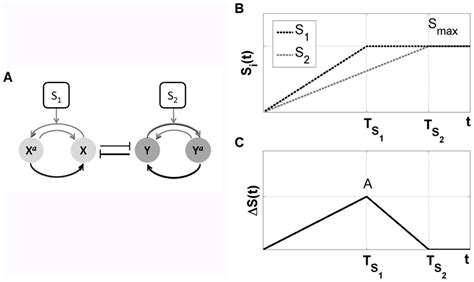 Paradigmatic Integrated Signalingtranscriptional Circuit Switch A