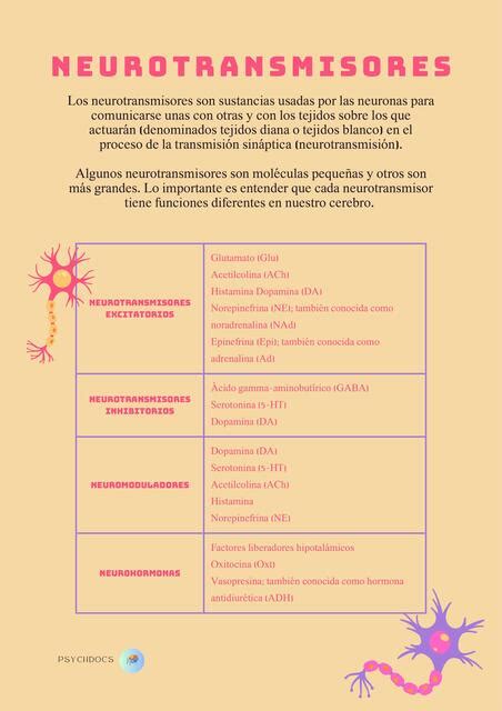 Neurotransmisores Nino Psychdocs Udocz