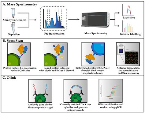 Frontiers 4d Label Free Quantitative Proteomics Analysis To 52 Off