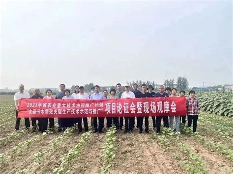 济宁市农业农村局 工作要闻 2023年山东省农业重大技术协同推广计划大蒜节本增效关键生产技术示范与推广项目论证暨现场观摩会在我市召开
