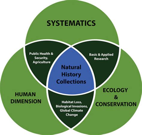Importance Of Systematic Classification On A Global Scale By Dr