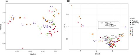 A Non‐metric Multidimensional Scaling Showing The Dissimilarities In Download Scientific